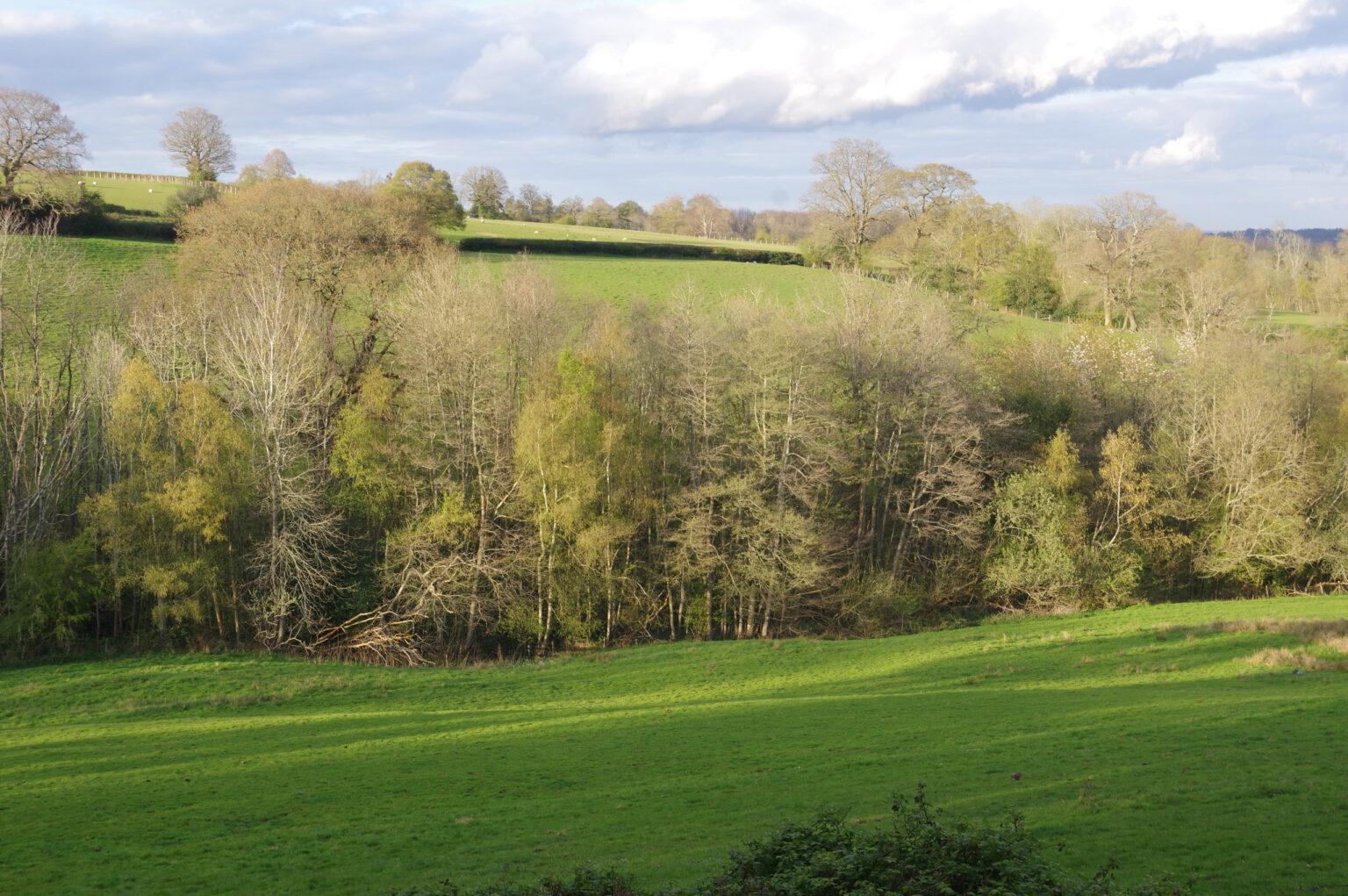 Landscape Management Plan and Biodiversity Action Plan (BAP ...